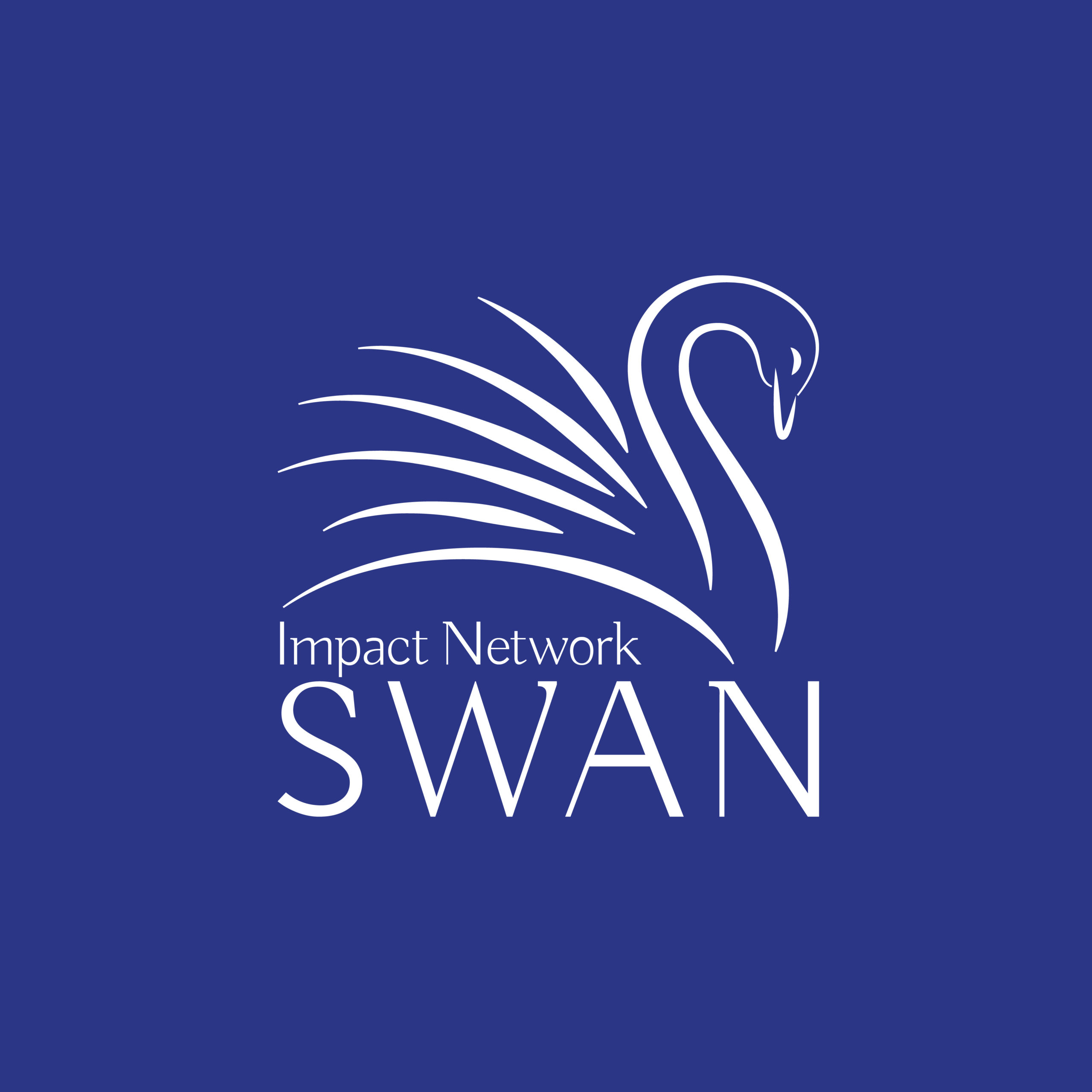 The Southwest Angel Network rebrands itself as the SWAN Impact Network ...